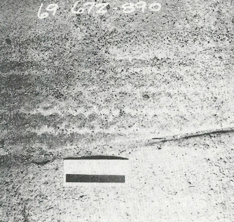 Gaul Sharp CS 10.PNG